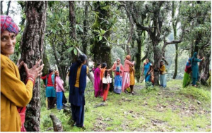 Environmental Movements- Chipko Andolan, Narmada Dam Andolan, Si Lent ...