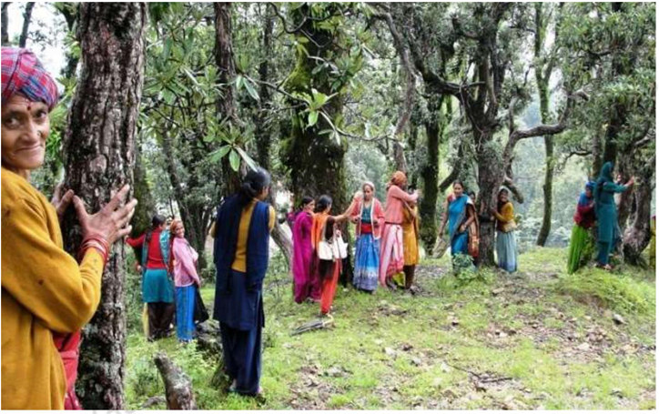 Environmental Movements- Chipko Andolan, Narmada Dam Andolan, Si Lent ...