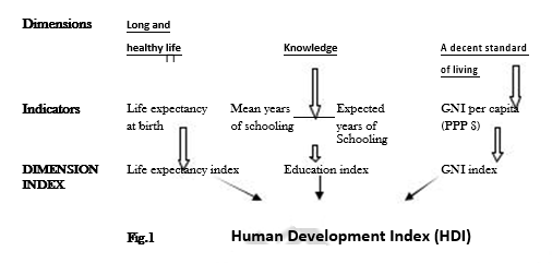 Human Development Index (HDI) of India – Urban Geography