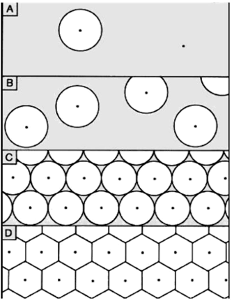Central Place Theory – Christaller and Losch – Urban Geography