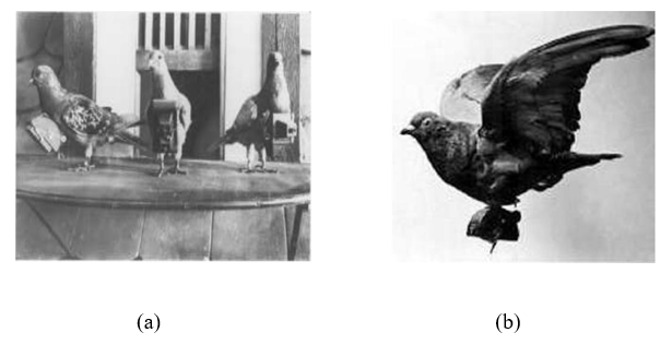 Remote Sensing Systems: Platforms and Sensors – Remote sensing, GIS and GPS