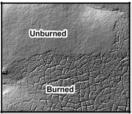 LiDAR BASIC PRINCIPLES AND APPLICATIONS – Remote sensing, GIS and GPS