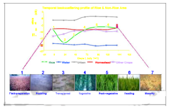Remote Sensing Applications in Agriculture – Remote sensing, GIS and GPS