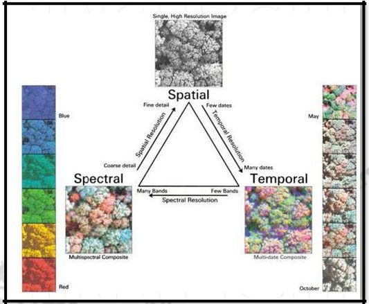 Application of RS in Forestry – Remote sensing, GIS and GPS