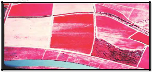 AERIAL PHOTOGRAPHY – Remote sensing, GIS and GPS