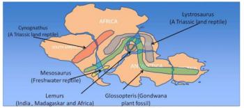 Continental drift – Geomorphology