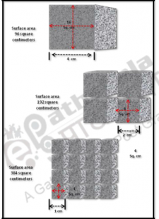 Weathering: Scale, Types and Classification – Geomorphology