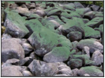 Weathering: Scale, Types and Classification – Geomorphology