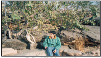 Weathering: Scale, Types and Classification – Geomorphology