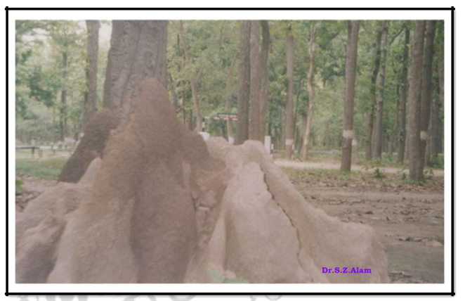 Weathering: Scale, Types and Classification – Geomorphology