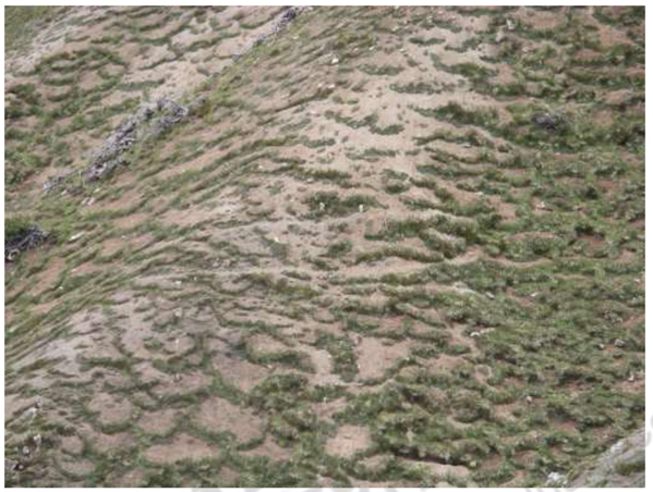 Mass wasting – Geomorphology