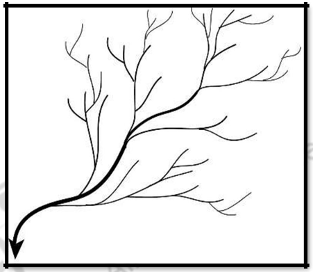 Drainage Pattern – Geomorphology