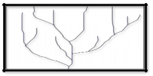 Drainage Pattern – Geomorphology
