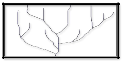 Drainage Pattern – Geomorphology