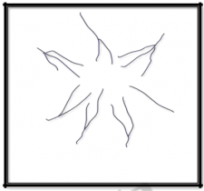 Drainage Pattern – Geomorphology