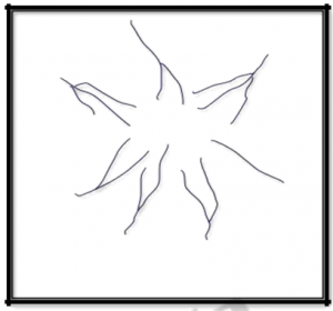 Drainage Pattern – Geomorphology