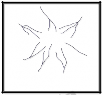 Drainage Pattern – Geomorphology