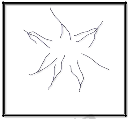 Drainage Pattern – Geomorphology