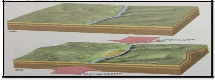 Drainage Pattern – Geomorphology
