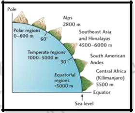 Glacial and Periglacial Landscapes – Geomorphology