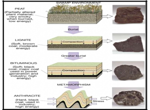 Rocks: Types and Formation Processes – Geomorphology