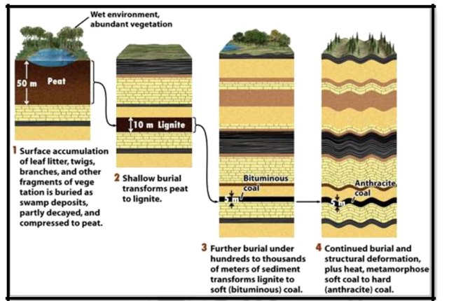 Rocks: Types and Formation Processes – Geomorphology