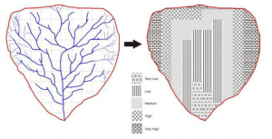 Morphometric Analysis – Geomorphology