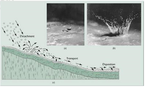 Soil Erosion – Geomorphology