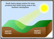 GLOBAL TEMPERATURE DISTRIBUTION: HORIZONTAL AND VERTICAL – Climatology