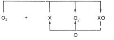 OZONE DEPLETION: CAUSES AND IMPACTS – Climatology