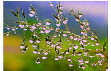 ATMOSPHERIC MOISTURE II, CONDENSATION, PROCESSES AND FORMS – Climatology