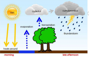 ATMOSPHERIC MOISTURE IV: FORMS AND TYPES OF PRECIPITATION – Climatology