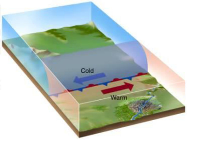 TEMPERATE CYCLONES: DEVELOPMENT, WEATHER CONDITIONS AND DISTRIBUTION ...