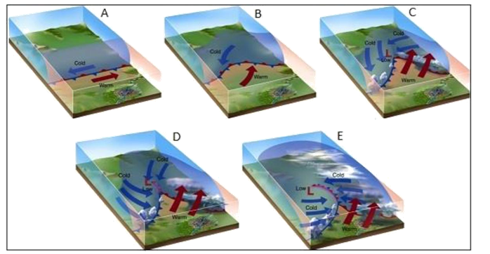 TEMPERATE CYCLONES: DEVELOPMENT, WEATHER CONDITIONS AND DISTRIBUTION ...