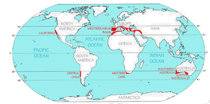Humid Mesothermal Climates – Climatology