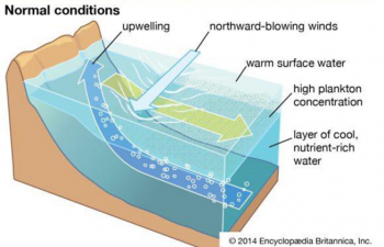MONSOON: DEFINITION, THEORIES AND CONTROLLING FACTORS – Climatology