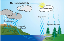 Atmospheric Moisture Humidity – Measurement and Distribution – Climatology