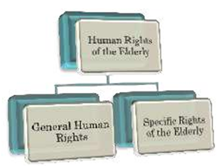Rights of the Elderly Persons – Rights of Minorities and other ...