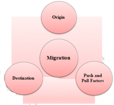 Definition and Types of Migration – Rights of Minorities and other ...