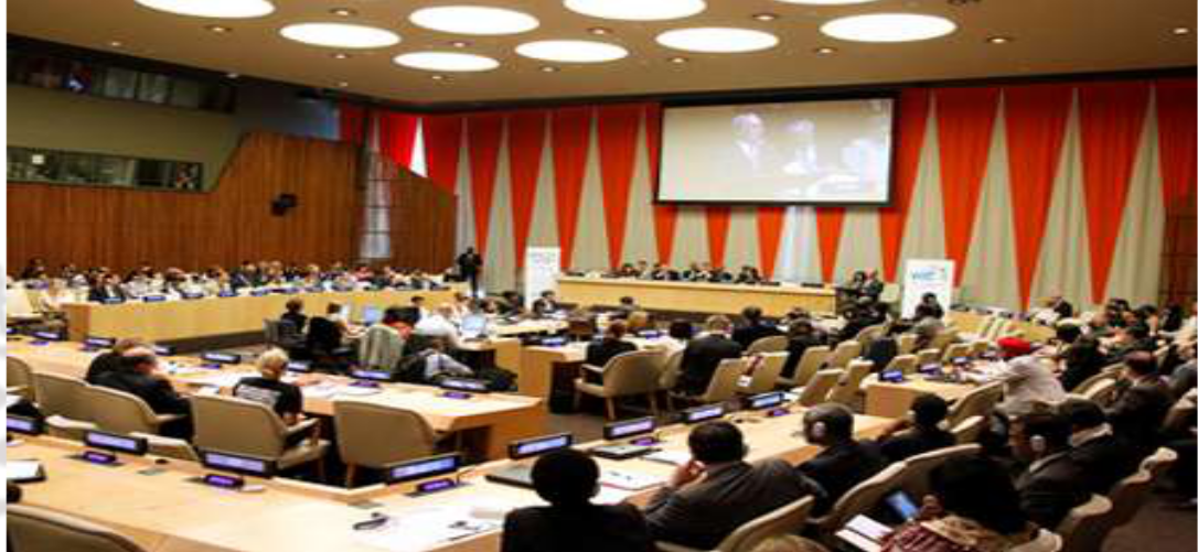 Ecosoc – International Fora for the Protection, Promotion and ...