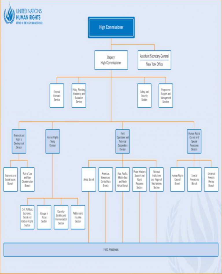 Office of the United Nations High Commissioner for Human Rights (OHCHR ...