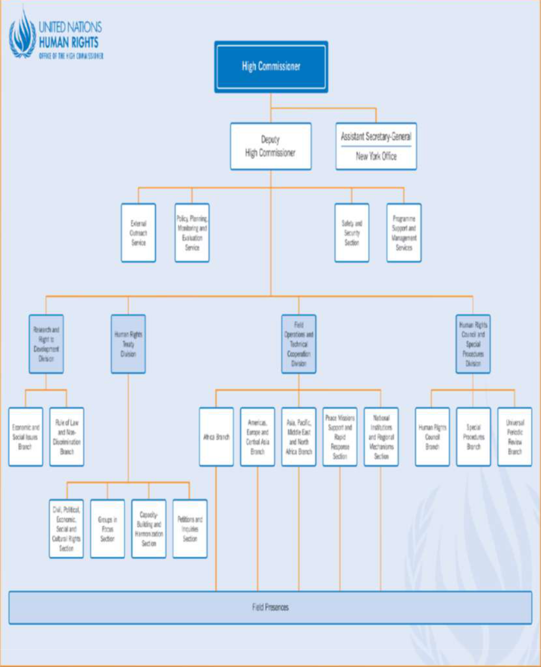 Office of the United Nations High Commissioner for Human Rights (OHCHR ...