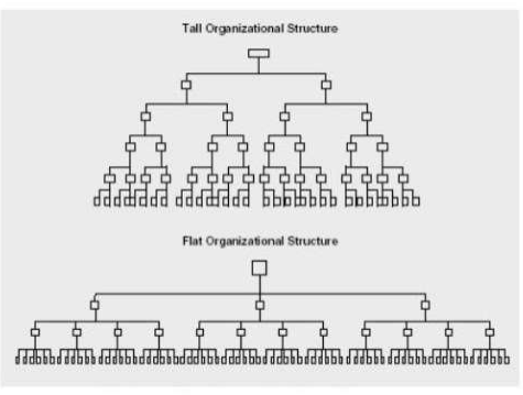 Organizing, Span of Management – Development of Management Thoughts ...