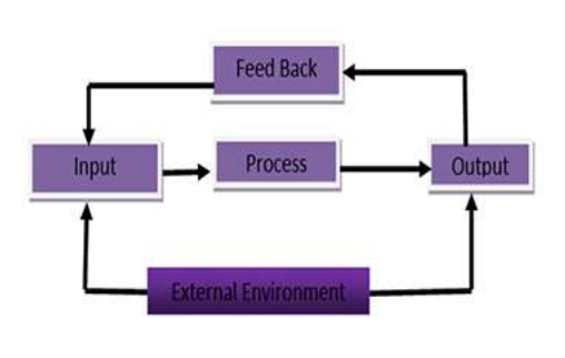 Evolution of Management Thought – Development of Management Thoughts ...