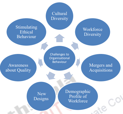 Challenges to organisational behaviour – Introduction to organisational ...