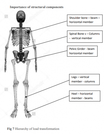 LEVELS OF CONSTRUCTION – Residential space designing