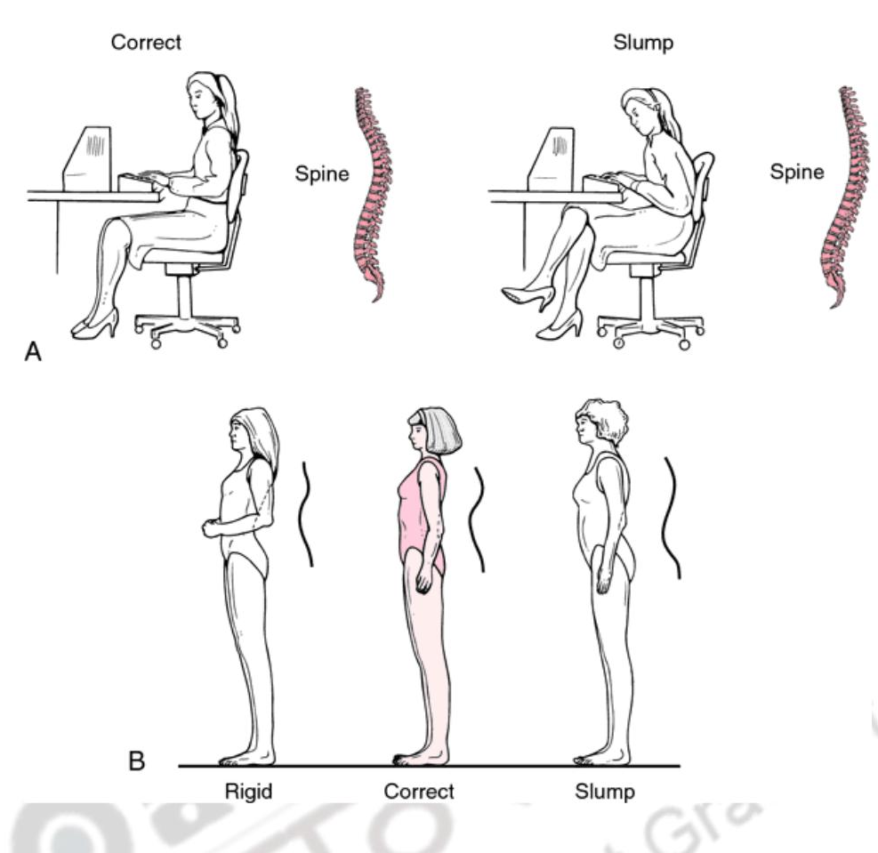 MECHANICAL PARAMETERS – WORK POSTURES, POSTURAL VARIATION AND DISCOMFORT – family resource managment