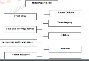 Departments in a Hotel – Management of Food Service