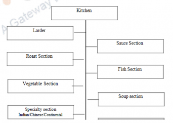 Departments in a Hotel – Management of Food Service