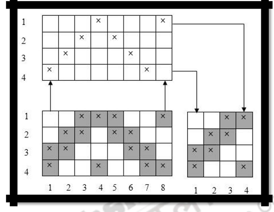 Basic weaves – Textile manufacturing and testing